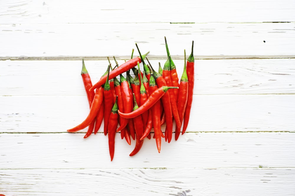 Tabasco® Scorpion Pepper Sauce ⋆ BBQ-Vibes.de
